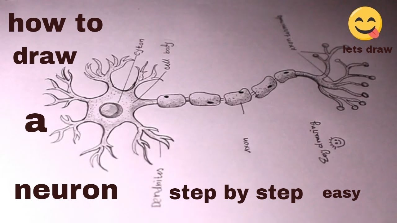 Draw a neuron easily || Amazing art's || - YouTube