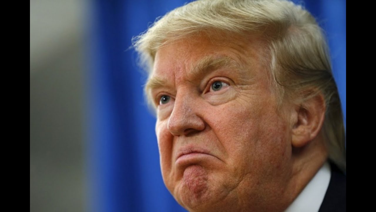 Donald Trump | John Miller | Not Me - YouTube