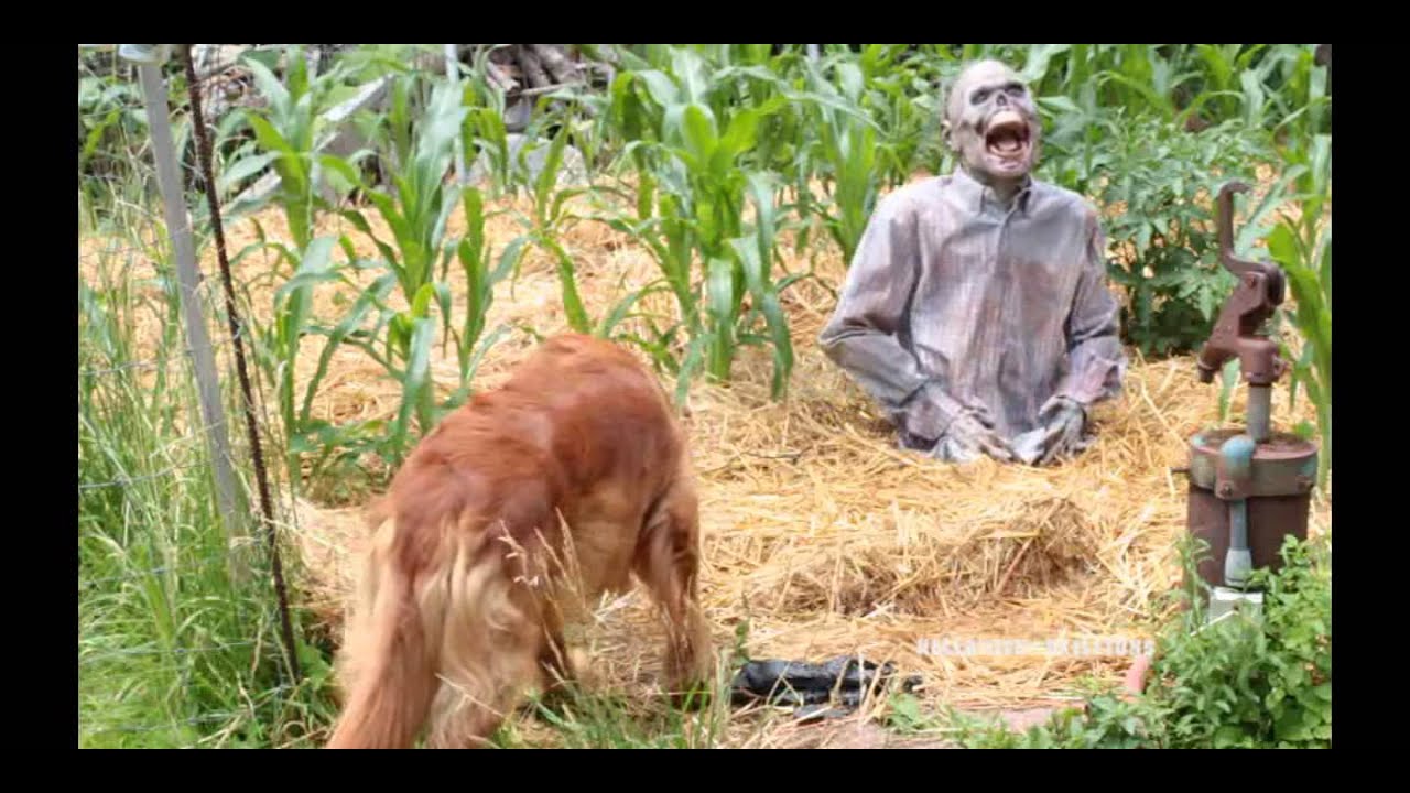 Distortions Unlimited Death Rising Animated Halloween Groundbreaker ...