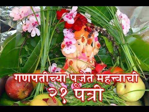 LEAVES OR PATRI USED IN GANESH CHATURTHI AND THEIR EFFECT - YouTube