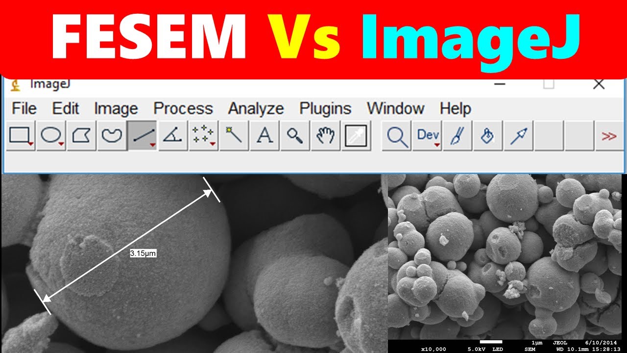 SEM Vs ImageJ - YouTube