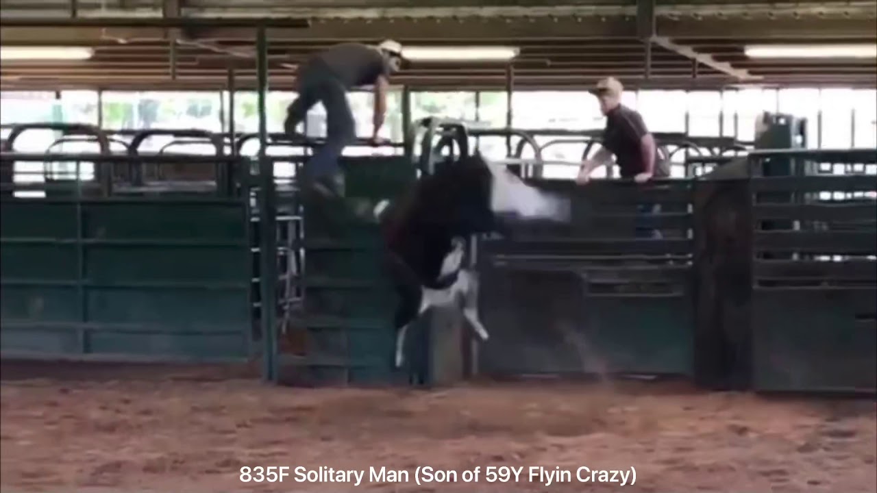 59Y Flyin Crazy - Reference Video - YouTube