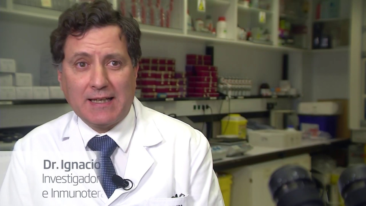 Dr. Ignacio Melero. Inmunoterapia en cáncer - YouTube