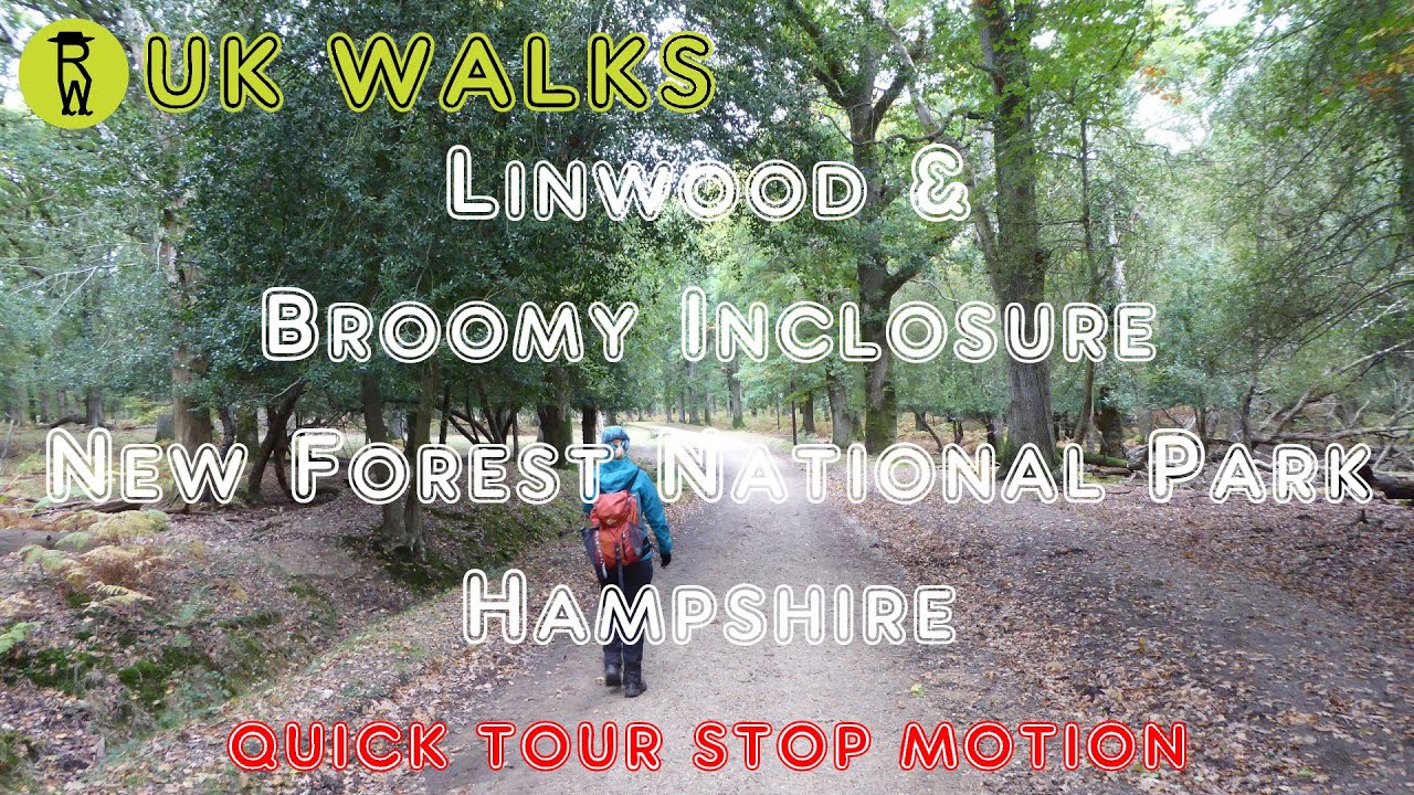 Linwood & Broomy Inclosure Walk, New Forest National Park Walks ...