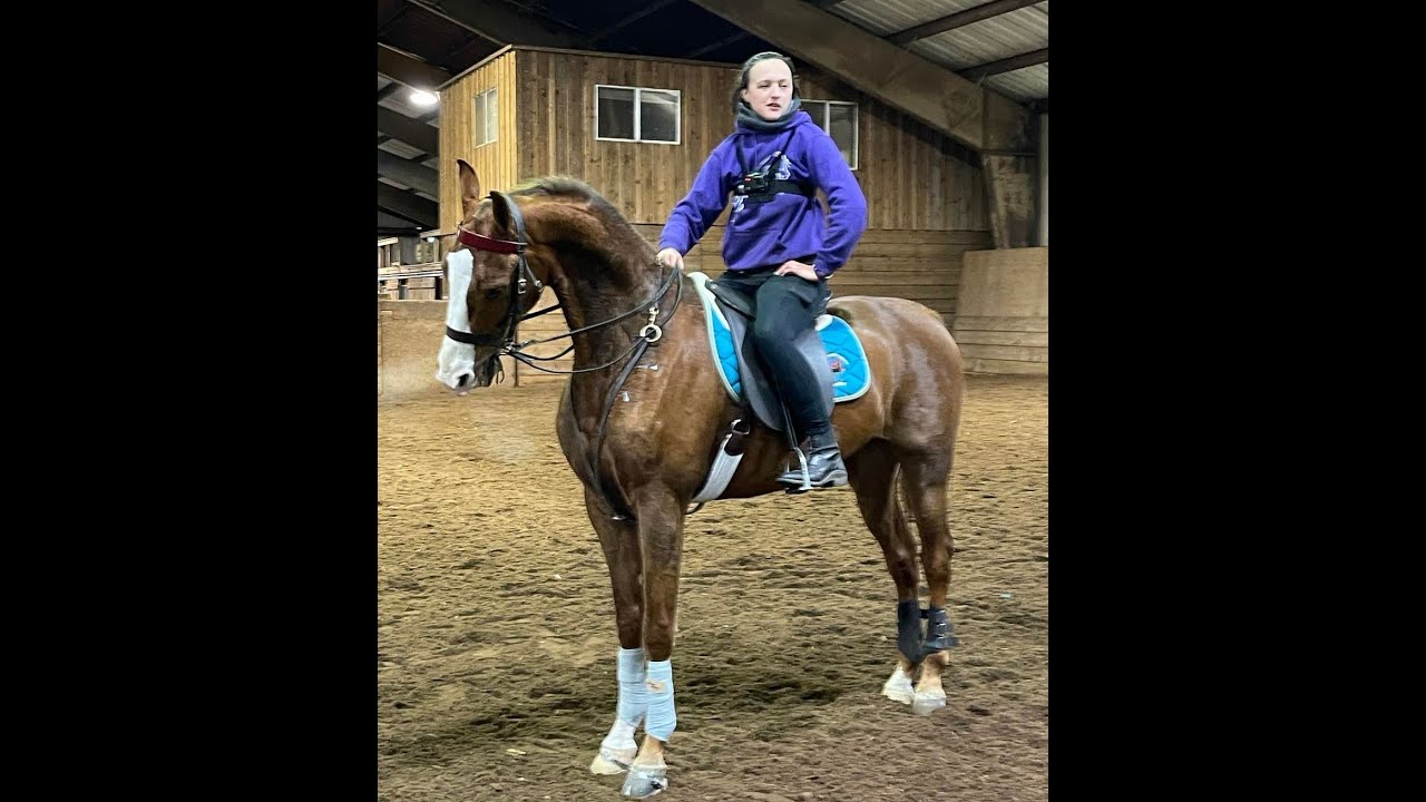 Barn Vlog #72 A Day in the Life of a Horse Trainer Valley View Farms ...