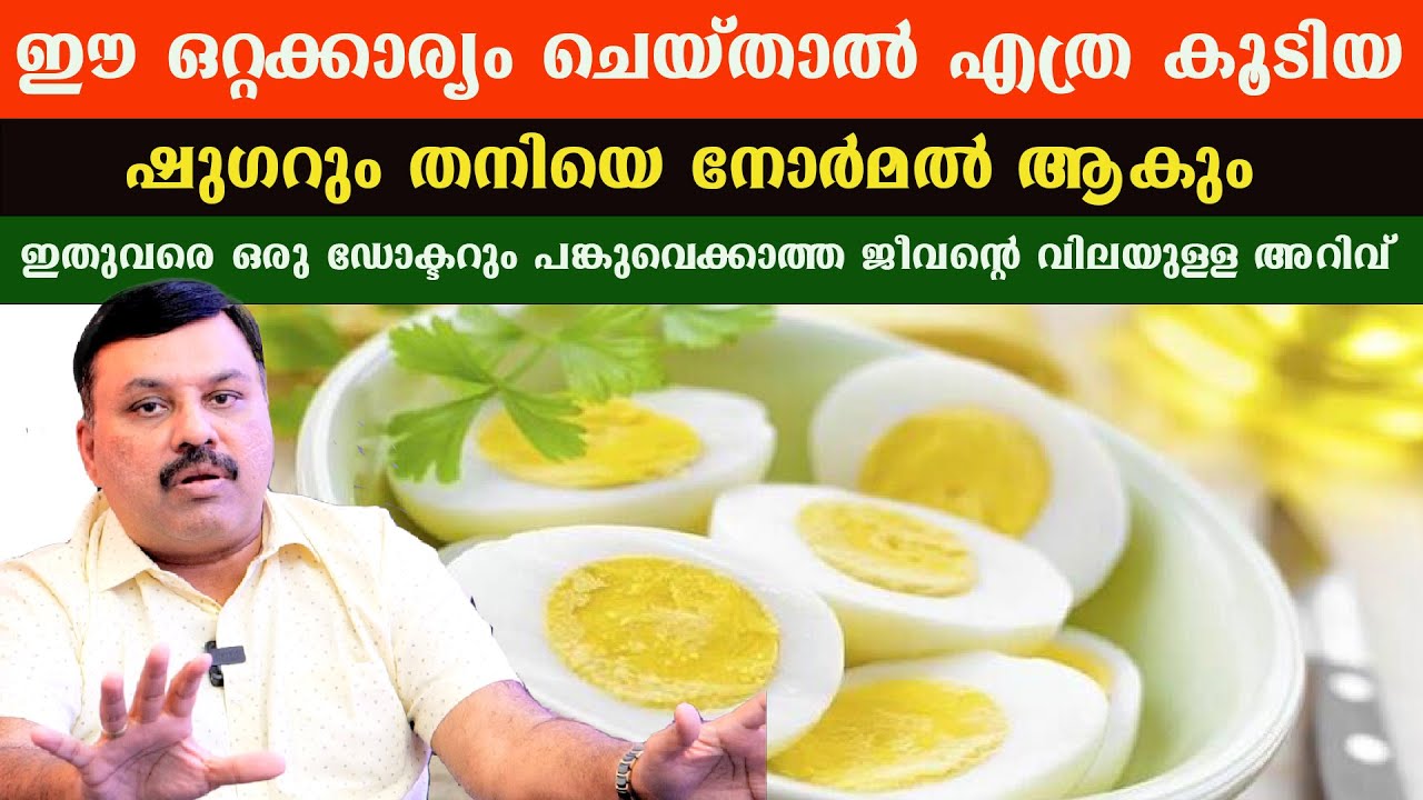 ഈ ഒരു കാര്യം ചെയ്താൽ എക്കാലവും നിങ്ങളുടെ ഷുഗർ നോർമൽ ആയി ഇരിക്കും /Dr ...