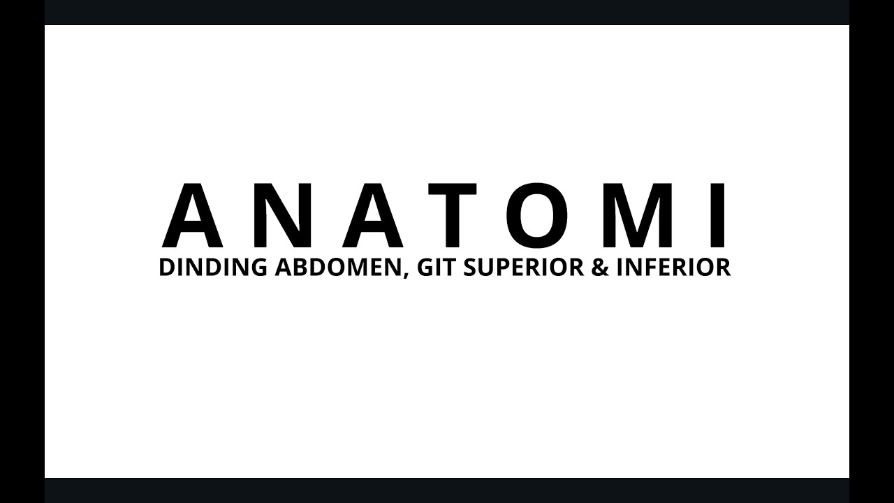 Anatomi Dinding Abdomen, GIT Superior dan Inferior - YouTube