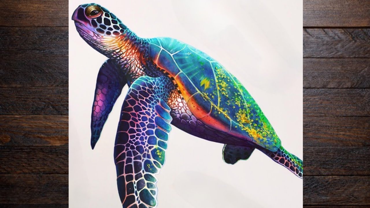 Drawing Rainbow Sea Turtle | TimeLapse - YouTube