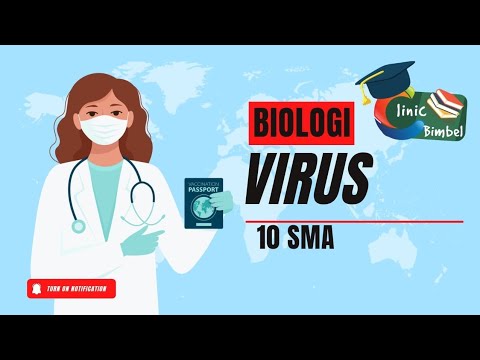 No.1-10 Latihan Soal Virus BIOLOGI 10 SMA - YouTube