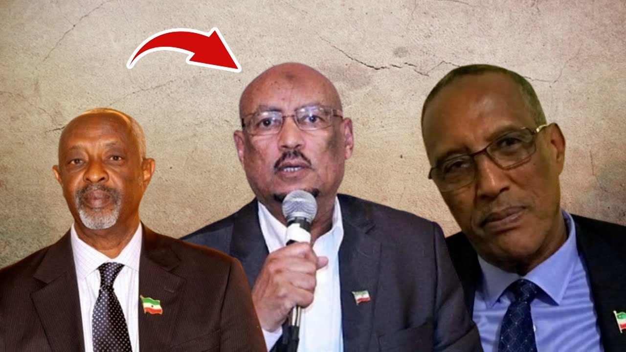 Feysal Cali Waraabe oo Muuse Biixi ku taageeray howsha uu wado - YouTube