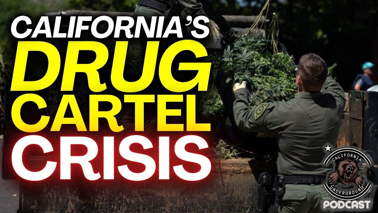 The Drug Cartels Operating RiGHT HERE in California - YouTube