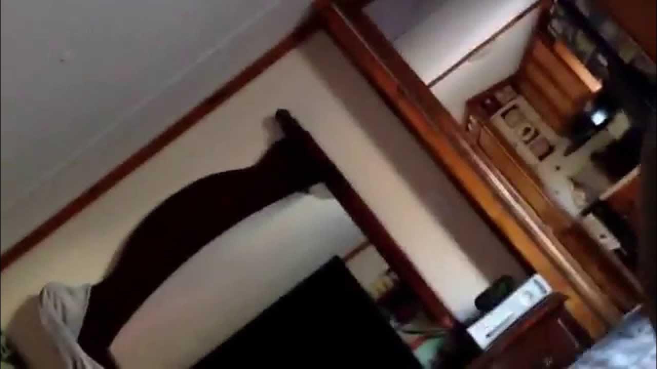 My Dog Biting Me YouTube my-dog-biting-me-youtube