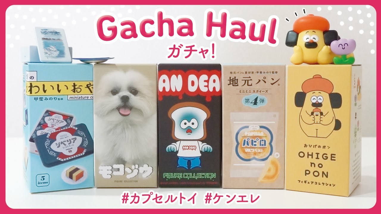 Gacha haul｜BOXタイプのガチャを開封！かわいすぎるミニチュアフィギュア😊 - YouTube