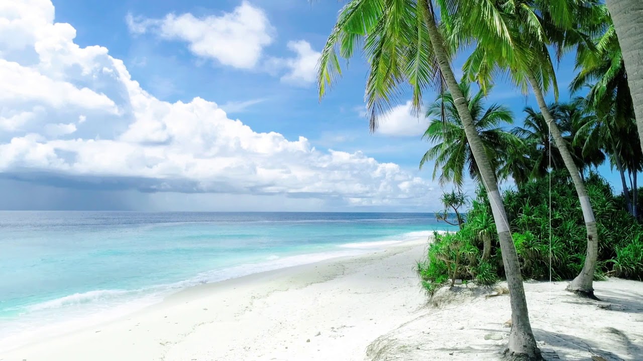 Lovely beach - YouTube