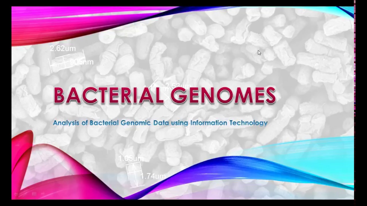 Bacterial Genome Sequencing: Part 1: Experimental Design - YouTube