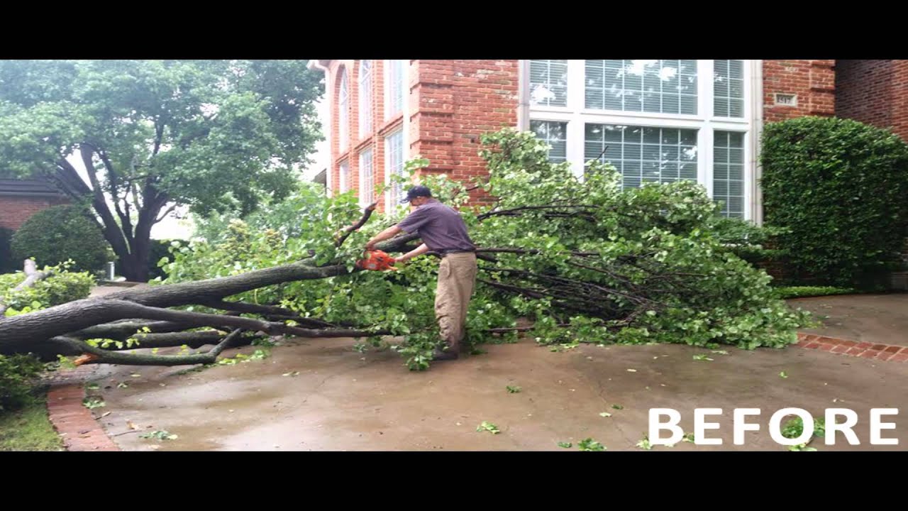 First Response Tree Service - YouTube