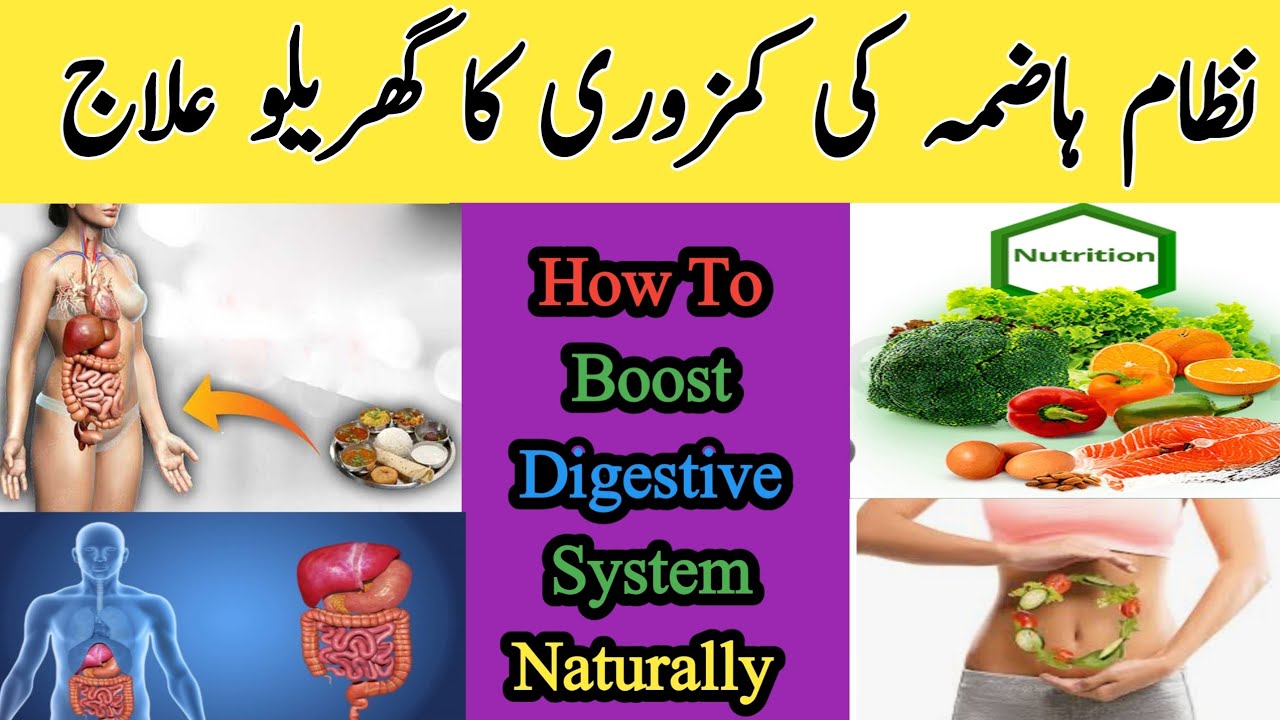 How To Improve Digestion Naturally 13 Ways To Improve Digestive System