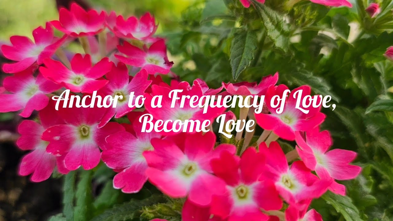 Anchor to a Frequency of Love, Become Love - YouTube