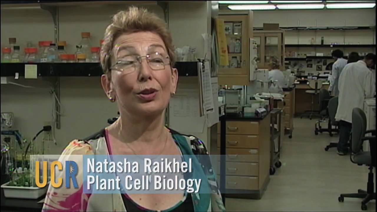 Professor Natasha Raikhel on Genomics Building - YouTube