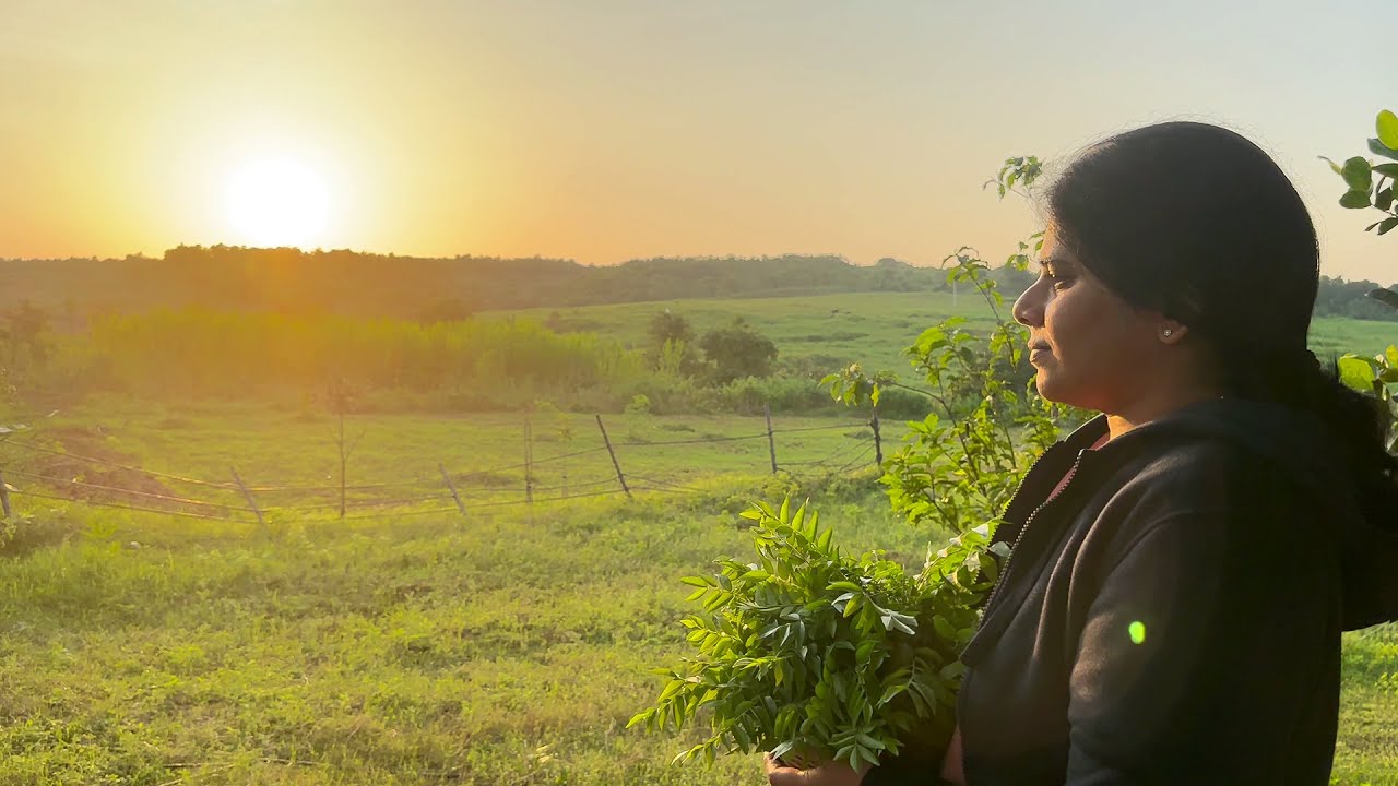 Farm Living with Sarada & Ganga||B Like Bindu - YouTube