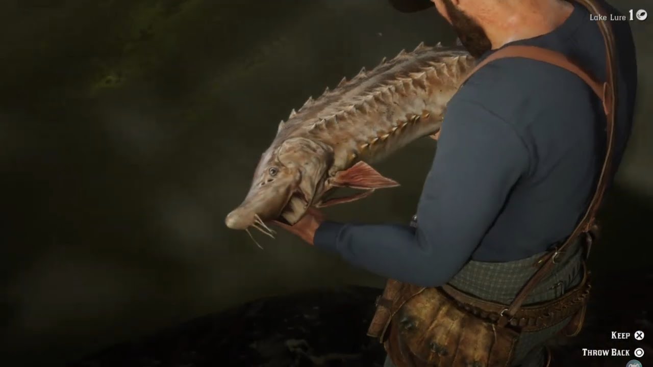 i cought a 14lbs lake sturgeon fish - rdr2 - YouTube