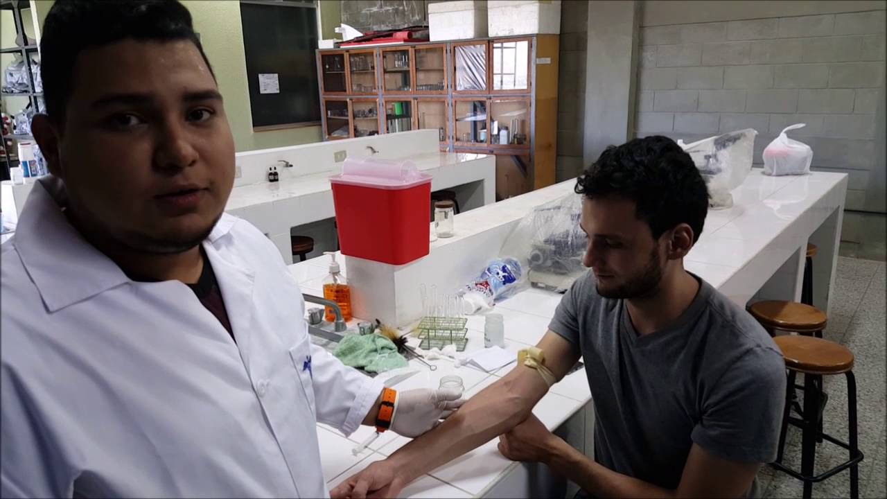 Como realizar una venopunción correctamente - YouTube