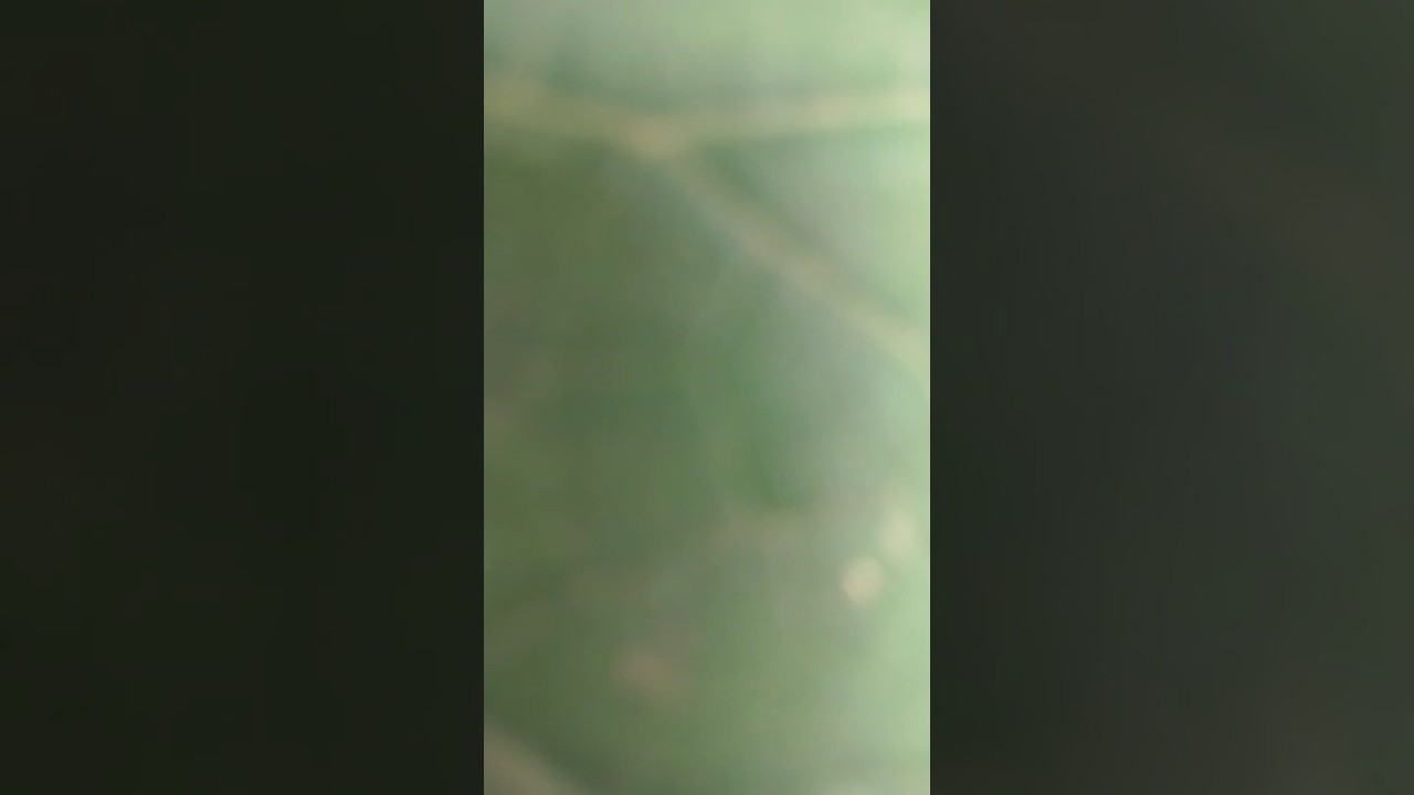 15 August 2023 - YouTube