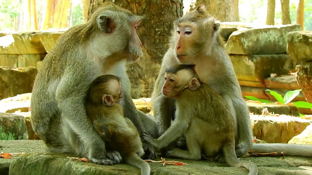 Jane Alsa and cute baby both - YouTube