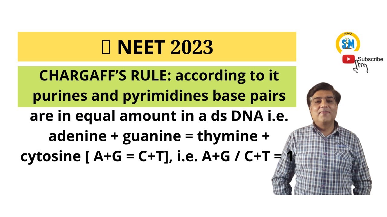 CHARGAFF’S RULE: according to it purines and pyrimidines base pairs are ...