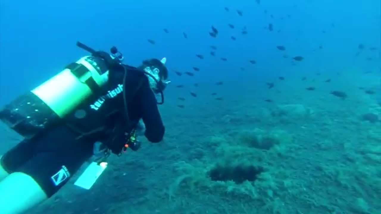 Cyprus Diving: Zenobia Wreck - YouTube