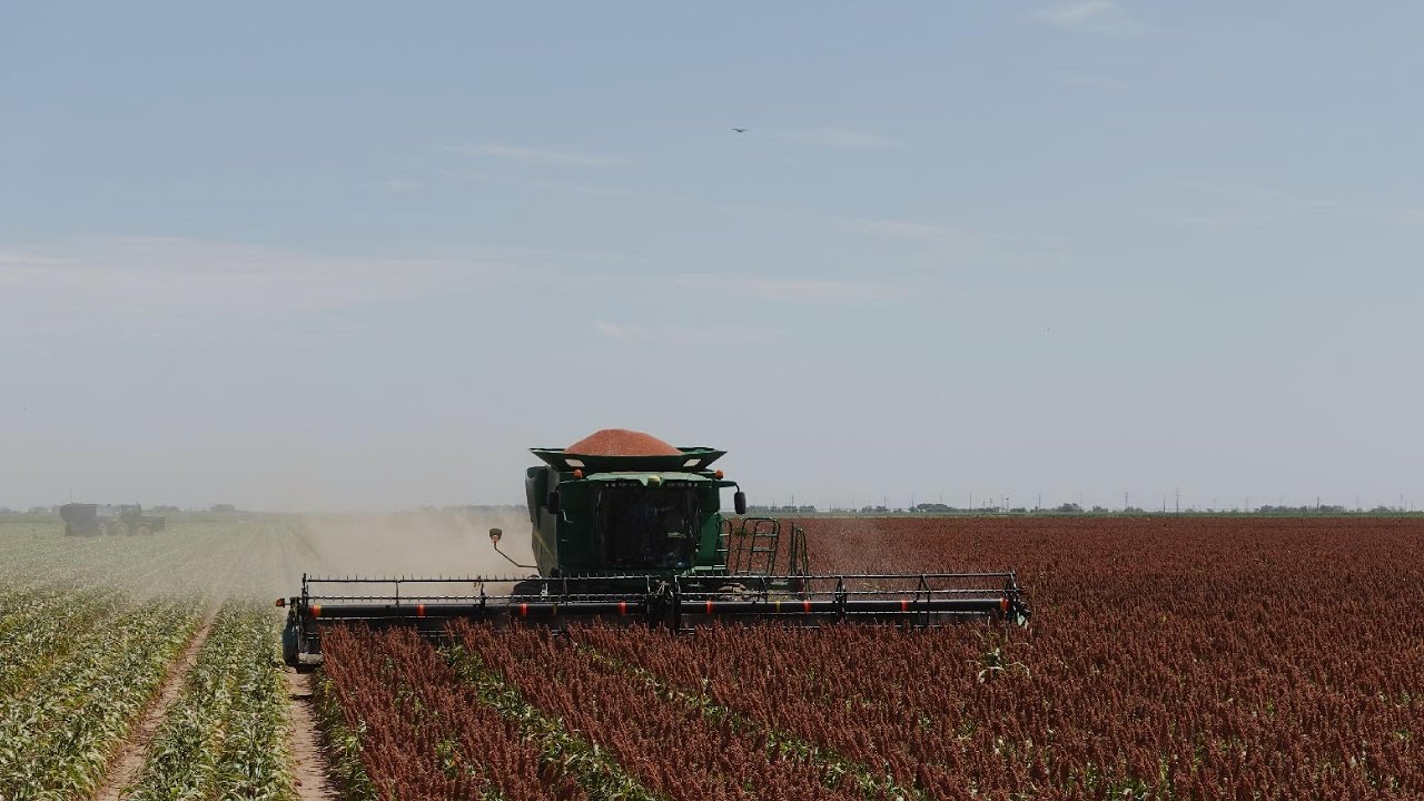 Maybe The Best One Yet (helping my brother harvest his milo) - YouTube