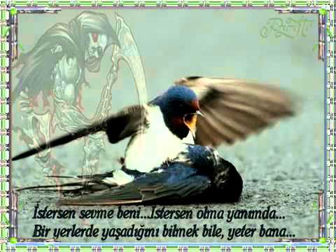 Hulyanurcelik Yusuf harputlu acimadinmii