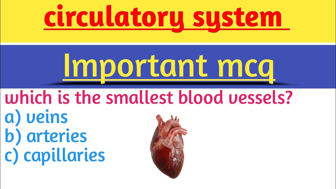 circulatory system mcqs/mcqs of circulatory system/ biology mcqs 2024 ...