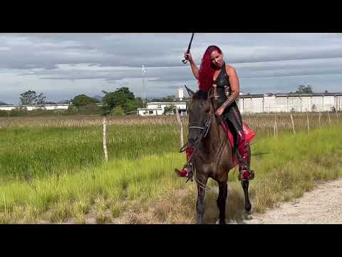 Hard Horse Riding #horseriding #ponyriding #spurs #whip #hardriding #Reiten #Équitation