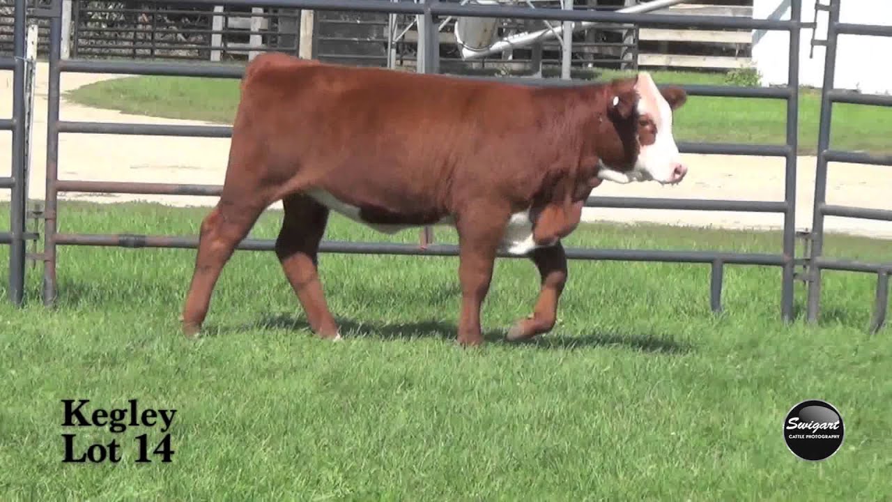 Kegley Lot 14 - YouTube