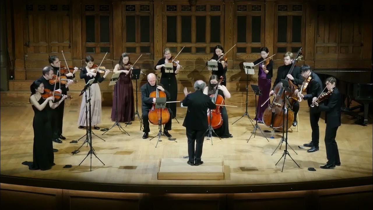 Leoš Janácek: Idyll Suite for String Orchestra - YouTube