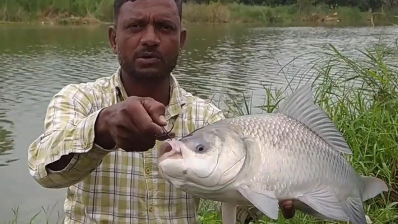 catla fishing video | fish hunting | fishing techniques - YouTube
