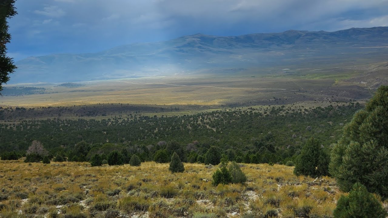 hunting surron hill climbs - YouTube