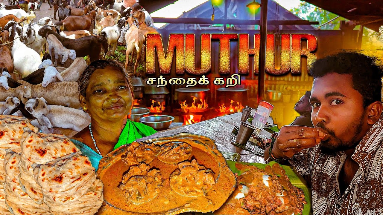 🔥முத்தூர் ஆட்டு சந்தை குடல் கறி குழம்பு | MUTHUR GOAT MARKET HOTEL ...