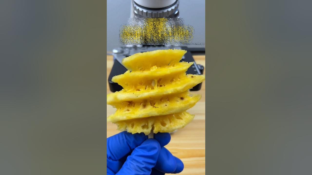 Pineapple Under the Microscope! 🍍 | Stunning Close-Up View #microscope #science #shorts - YouTube