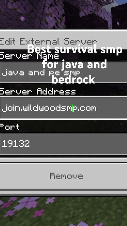 Best survival smp for Java plus bedrock edition #minecraft #gaming # ...