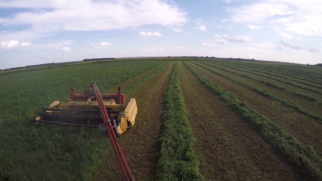 IH 886 is a hay mowing machine!!!!!!! - YouTube