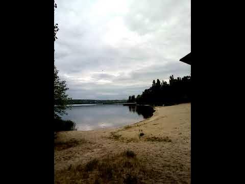 Сад ️ морковь 😍 Счастье и Любовь ️ - YouTube