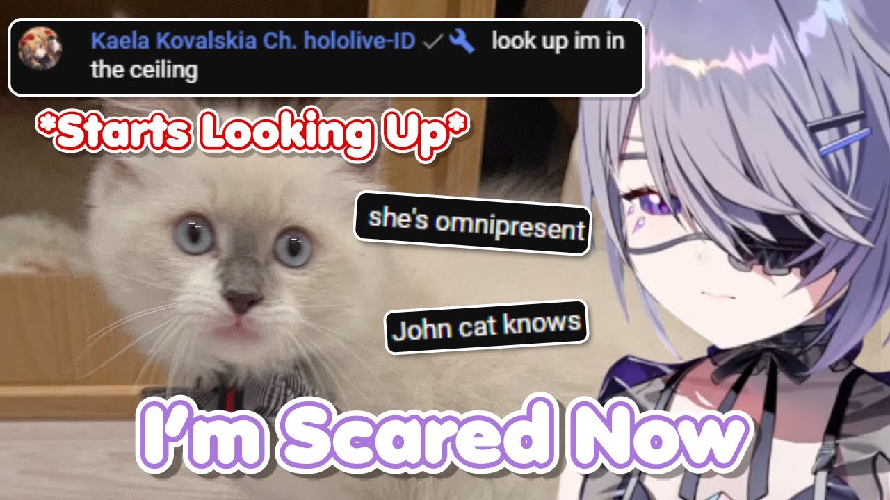 Biboo Gets Scared as John Cat Looks Up Right After Kaela’s Comment ...