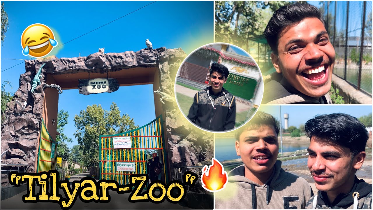 Tilyar Zoo (Rohtak) unlimited laughter😂 || Ansh Tanwar || New Haryanvi ...