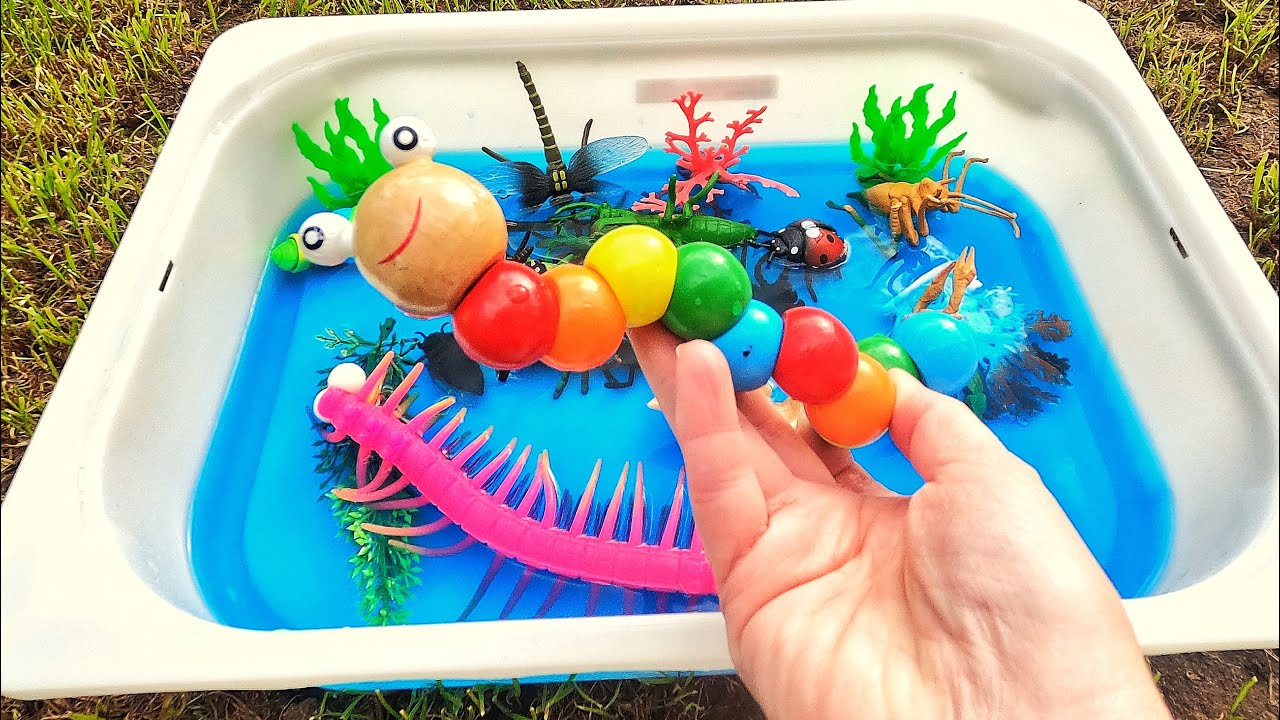 Learn bugs names for babies toddlers preschoolers kids - YouTube