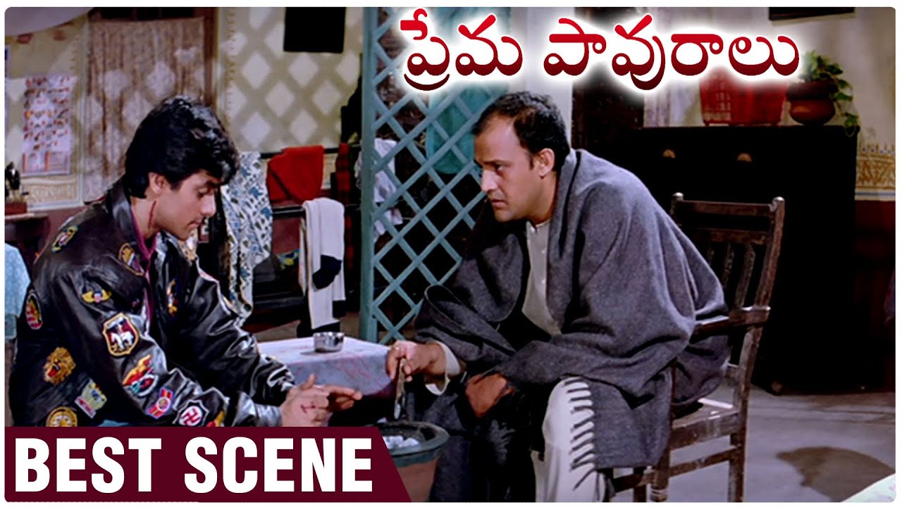 Prema Pavuralu Movie Best Scene | Maine Pyar Kiya | Salman Khan ...