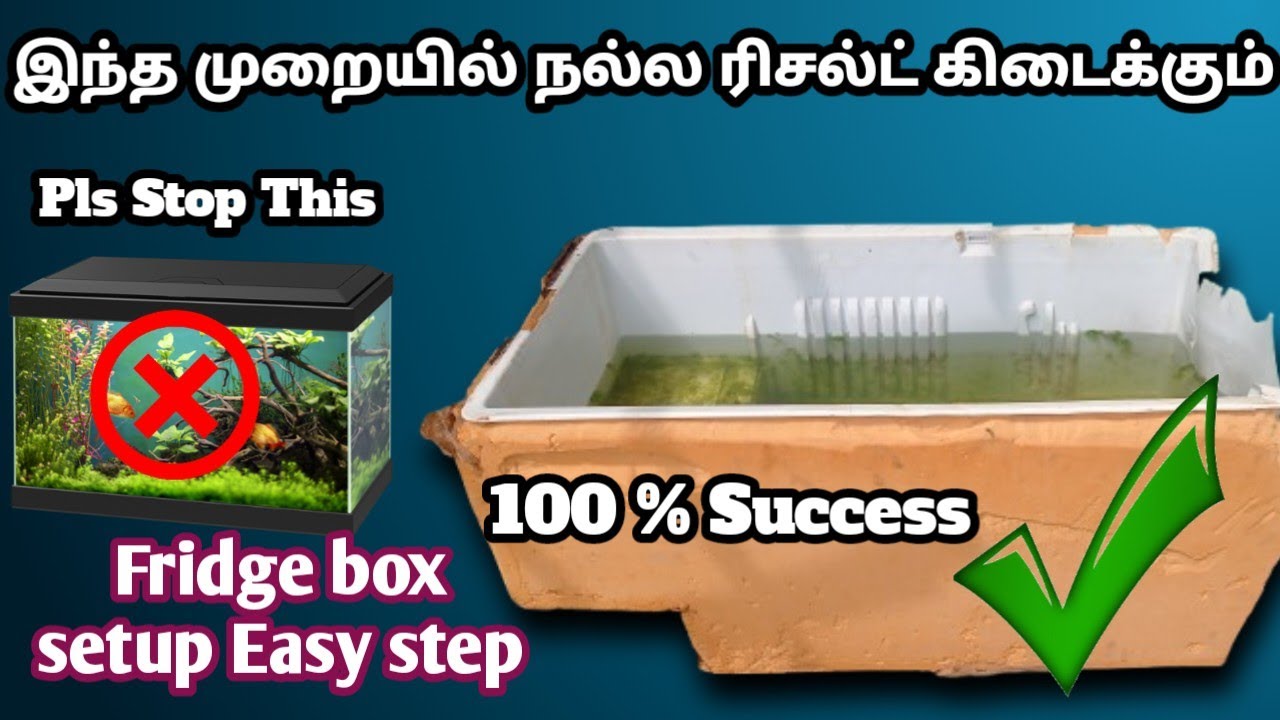 How to setup a Fridge tank/New Fridge box for Fish Tank Setup - YouTube