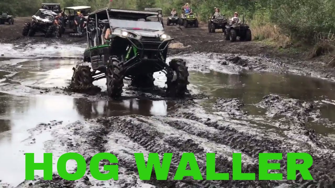 Hog Waller ATV/UTV Weekend! (Good Quality) Feb. 2017 - YouTube