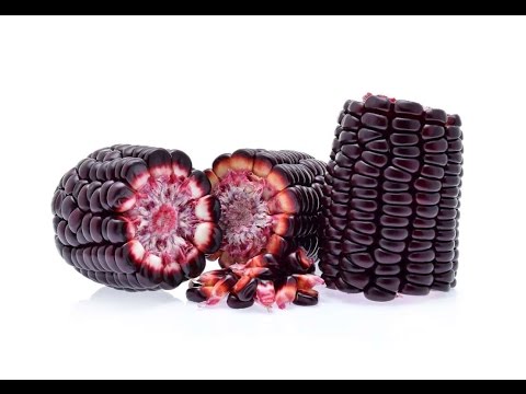 The rarest things found on earth ever.Part-3 - YouTube